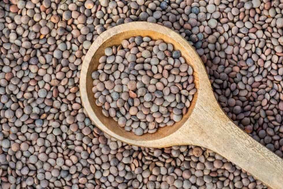 WHOLE MASOOR | Super Indian Foods